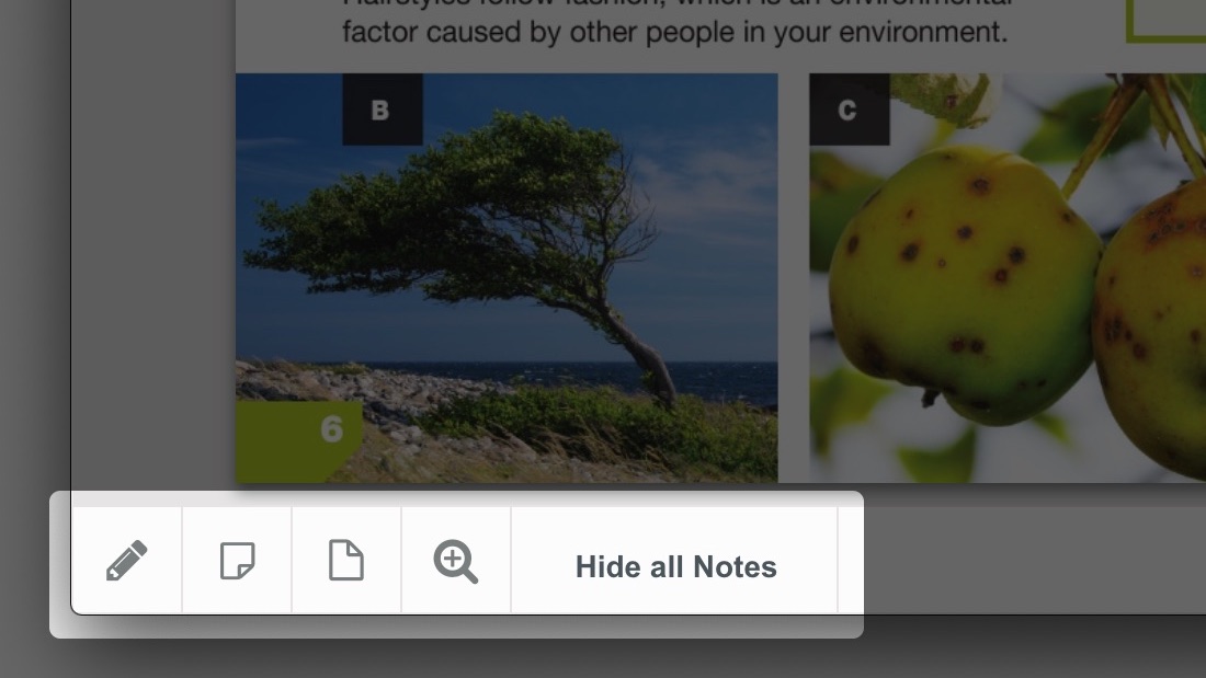 The Library, ActiveBooks, and Exercises
